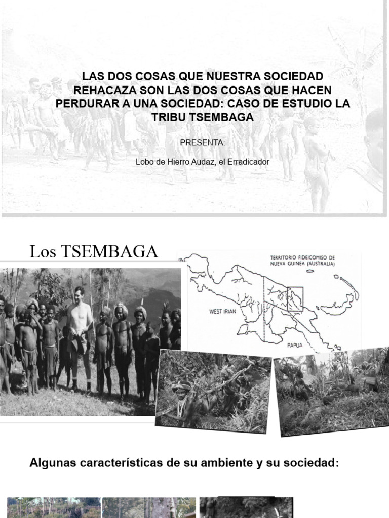 1. Flujo de Energia Tsembaga | PDF | Sociedad | Comida y bebida