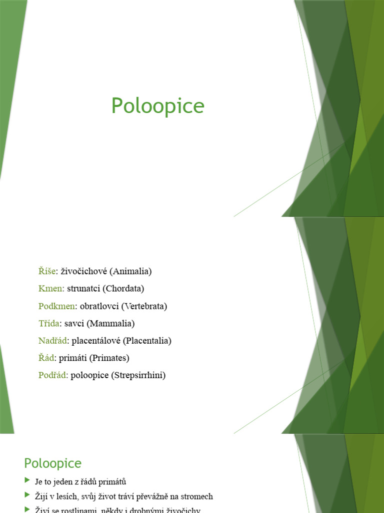Poloopice | PDF