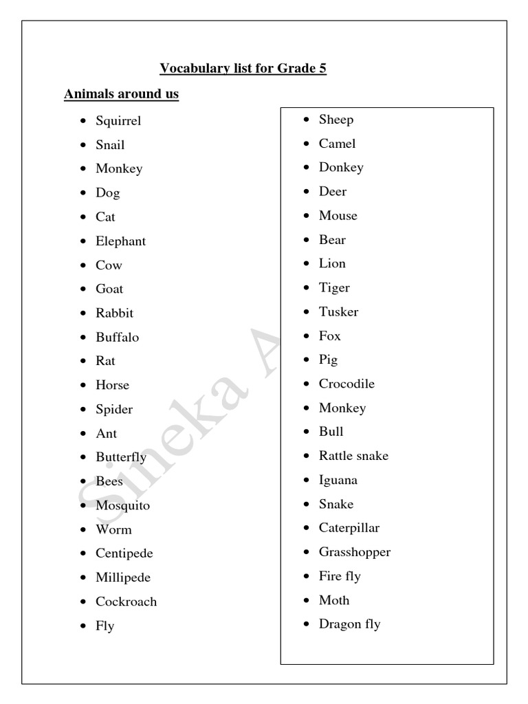 Vocabulary List For Grade 5 | PDF