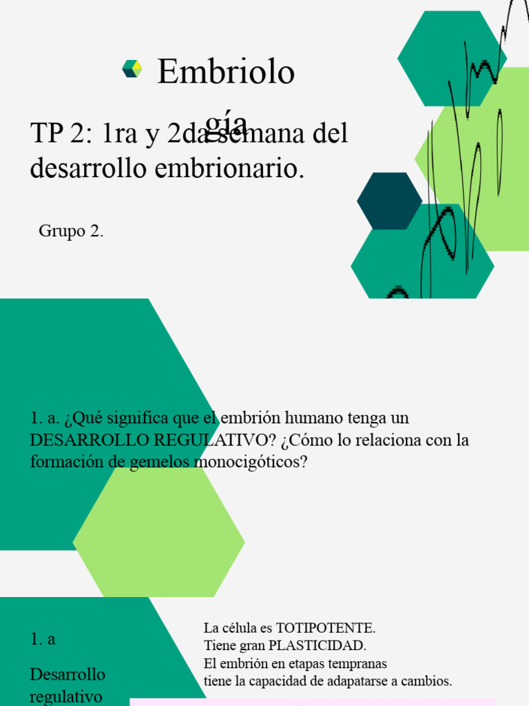 Embrio tp2 | PDF