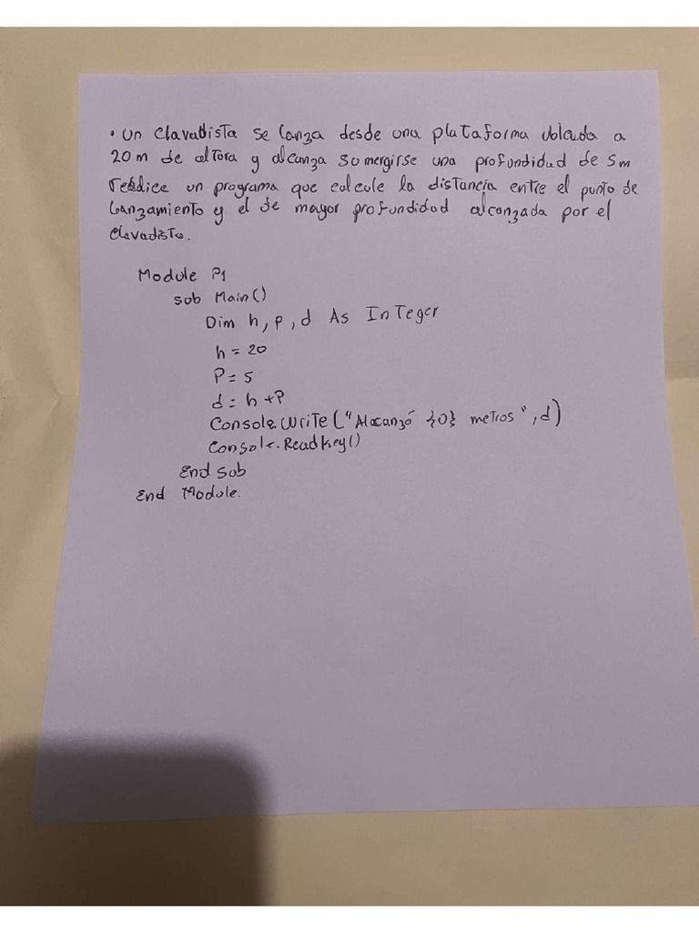 Lab Prog 3 Pratica VB | PDF