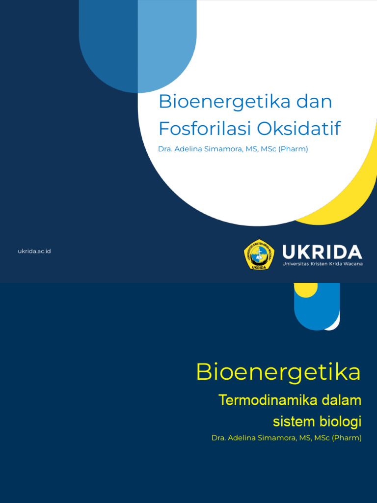 Bioenergetika Dan Fosforilasi Oksidatif | PDF
