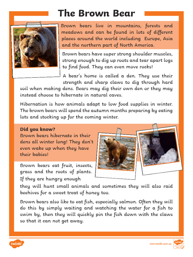 Brown Bear Fact Sheet | PDF
