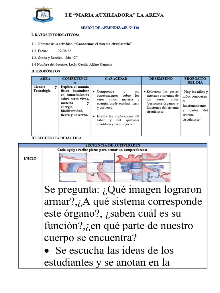 Aprendizaje del Sistema Circulatorio | PDF | Informática