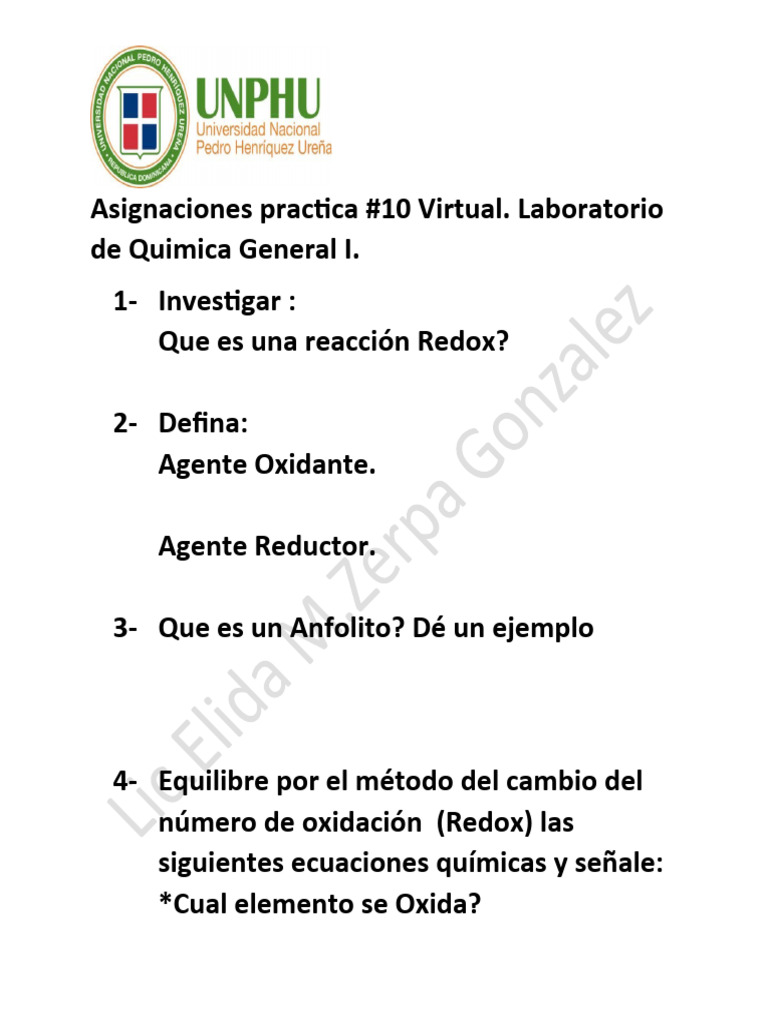 Asignaciones Practica 10 Virtual | PDF