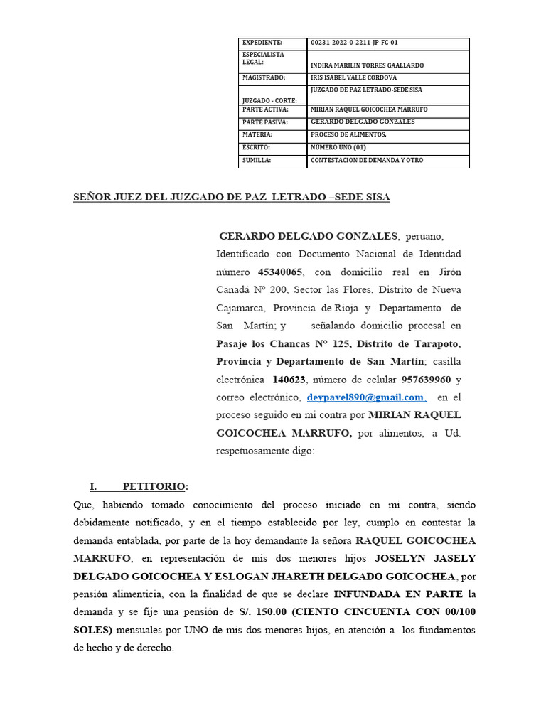 GERARDO | PDF | Pensión alimenticia | Justicia