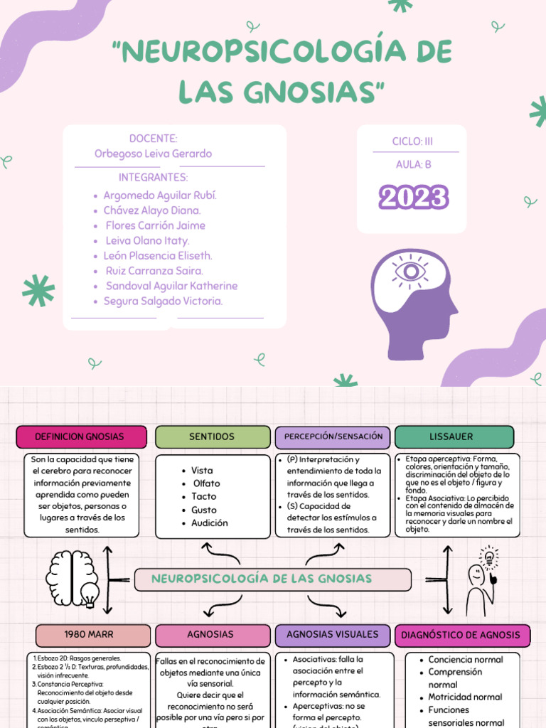 N Gnosias | PDF | Cognición | Procesos mentales