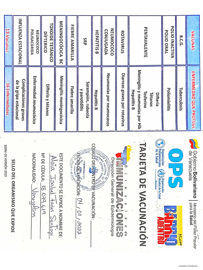TV Alaia Isabel | PDF