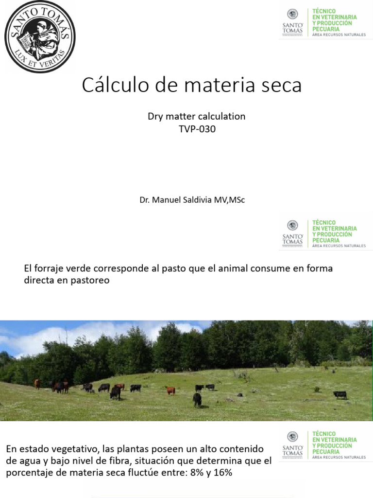 Cálculo y determinación de materia seca | PDF