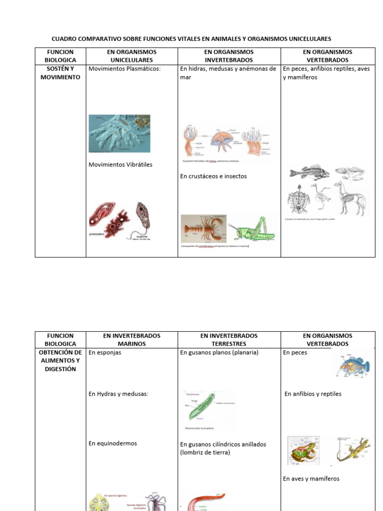 Funciones Vitales en Animales y Organismos | PDF | Vertebrados ...