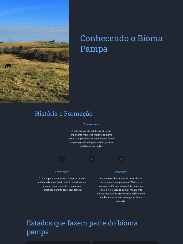 Conhecendo o Bioma Pampa | PDF | América do Sul | Geociências