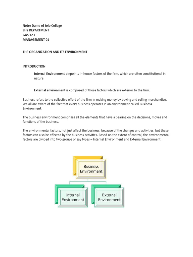 Understanding Business Environments | PDF | Marketing | Business Process