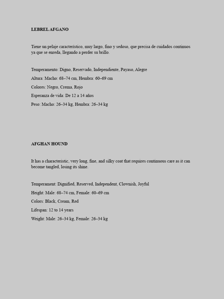 Razas De Perros Descargar Gratis Pdf Golden Retriever Perro Tejonero