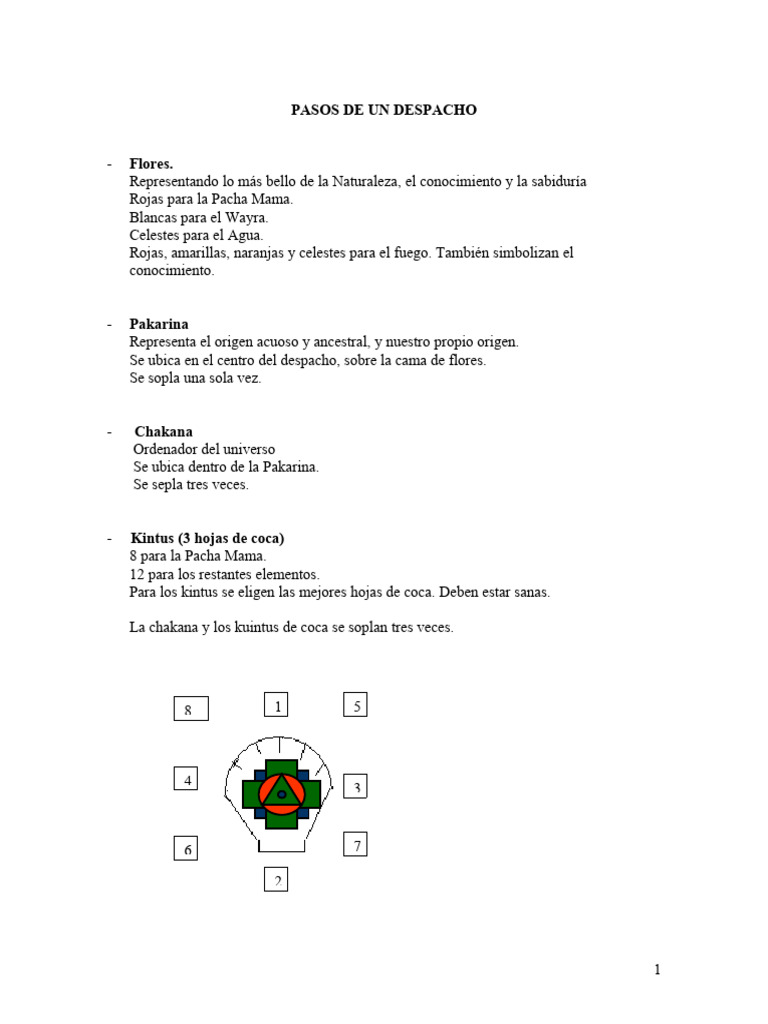 Instrucciones Despacho | PDF