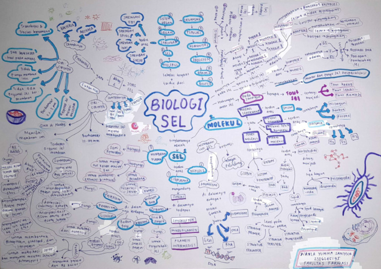 Mind Map - DK1 - Biologi Sel - Nayla Yumna Saniyya - 2306245195 | PDF