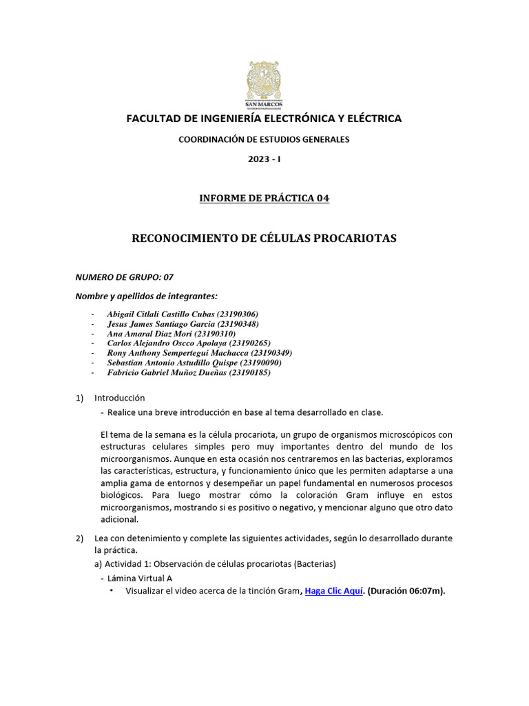 Informe de Práctica n4 | PDF | Biología Celular) | Cloroplasto