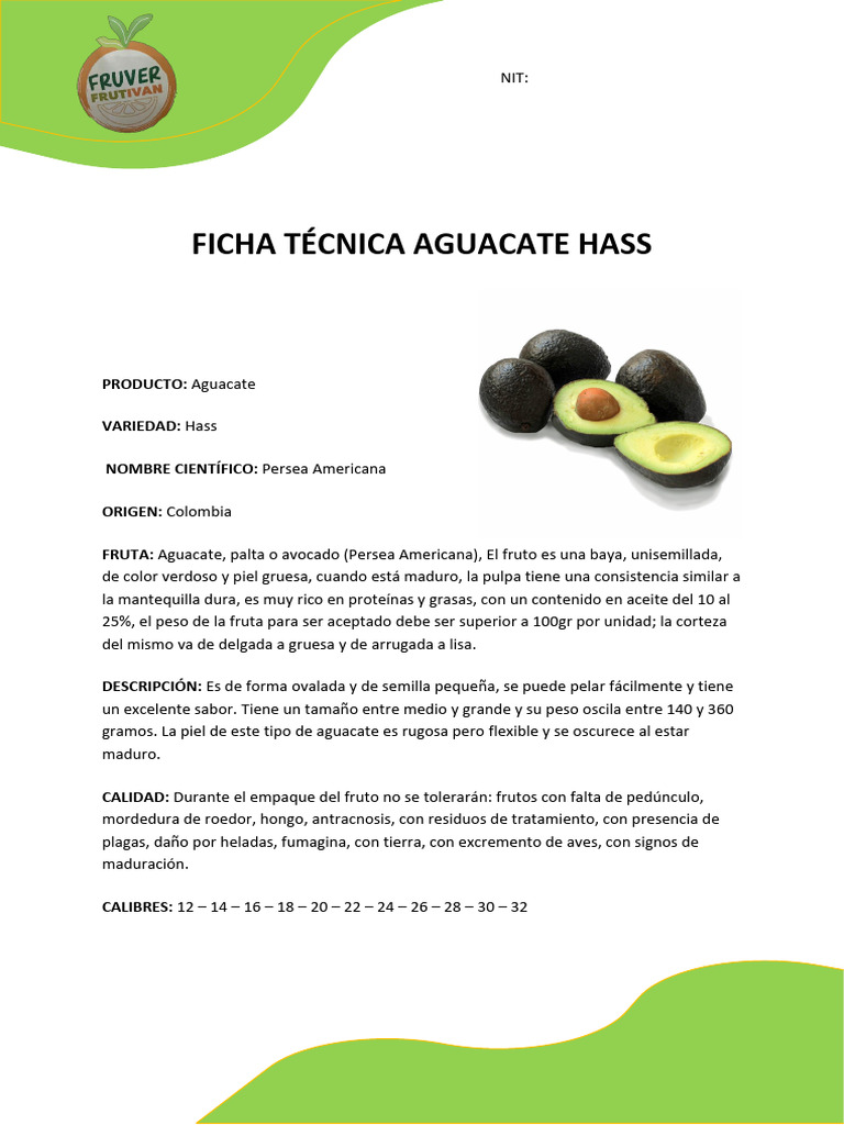 Ficha Técnica Aguacate Hass | PDF