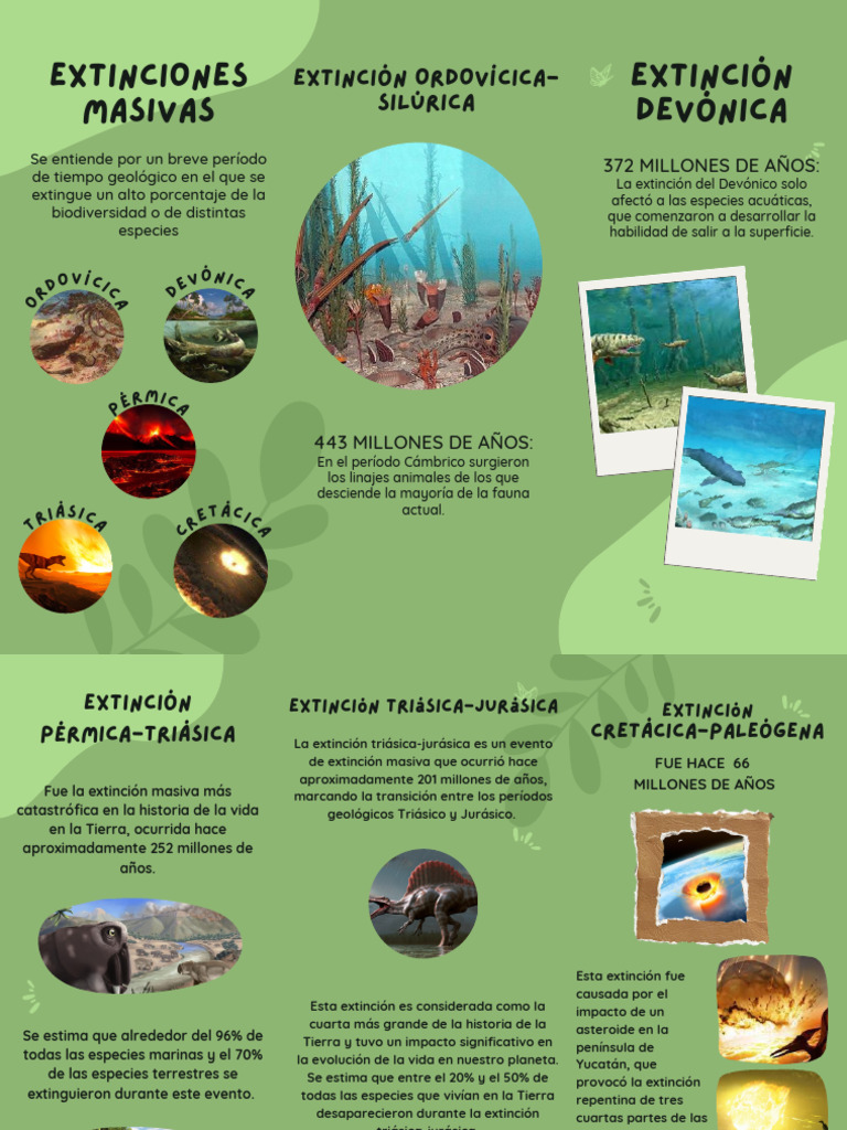 Tríptico de Extinciones | PDF | Extinción | Tierra