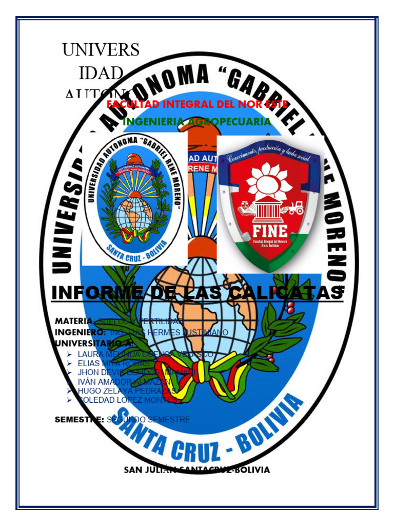 Calicata Informe Grupo 2 | PDF | Suelo | Ciencias de la Tierra