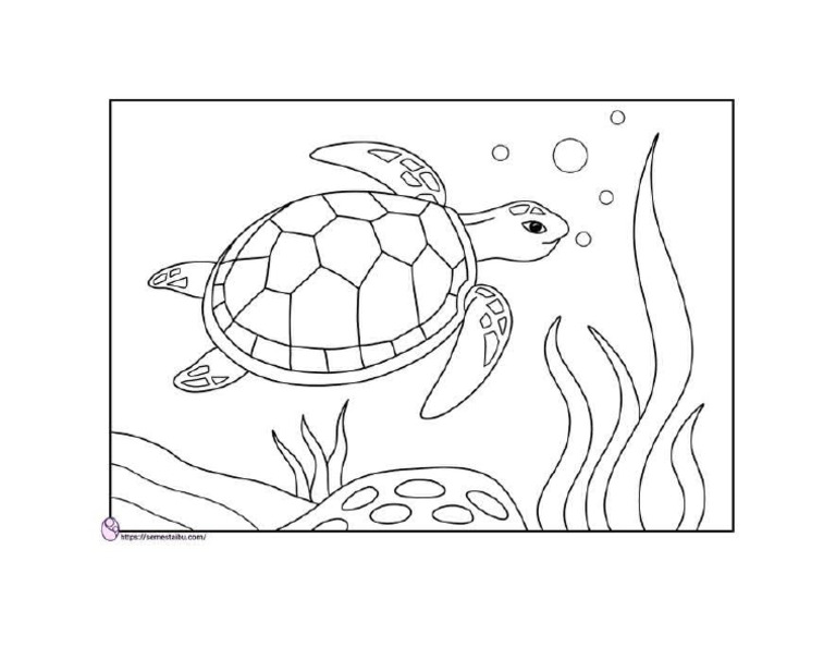 Mewarnai Kls 1 | PDF