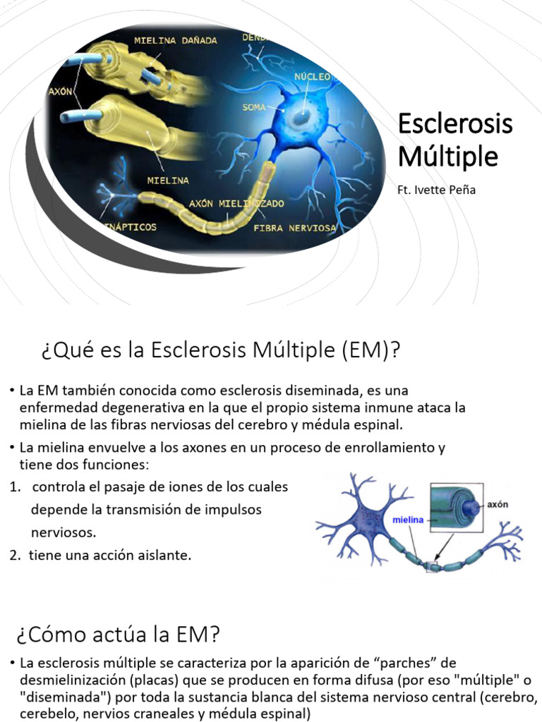 Esclerosis Múltiple | PDF | Mielina | Esclerosis múltiple