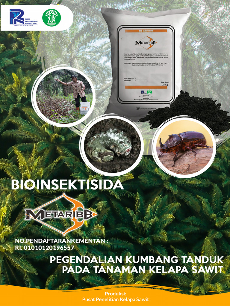 Leaflet Metarib | PDF