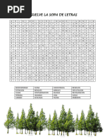 Prevencion de Desastres - Sopa de Letras | PDF | Ajedrez | Juegos y ...