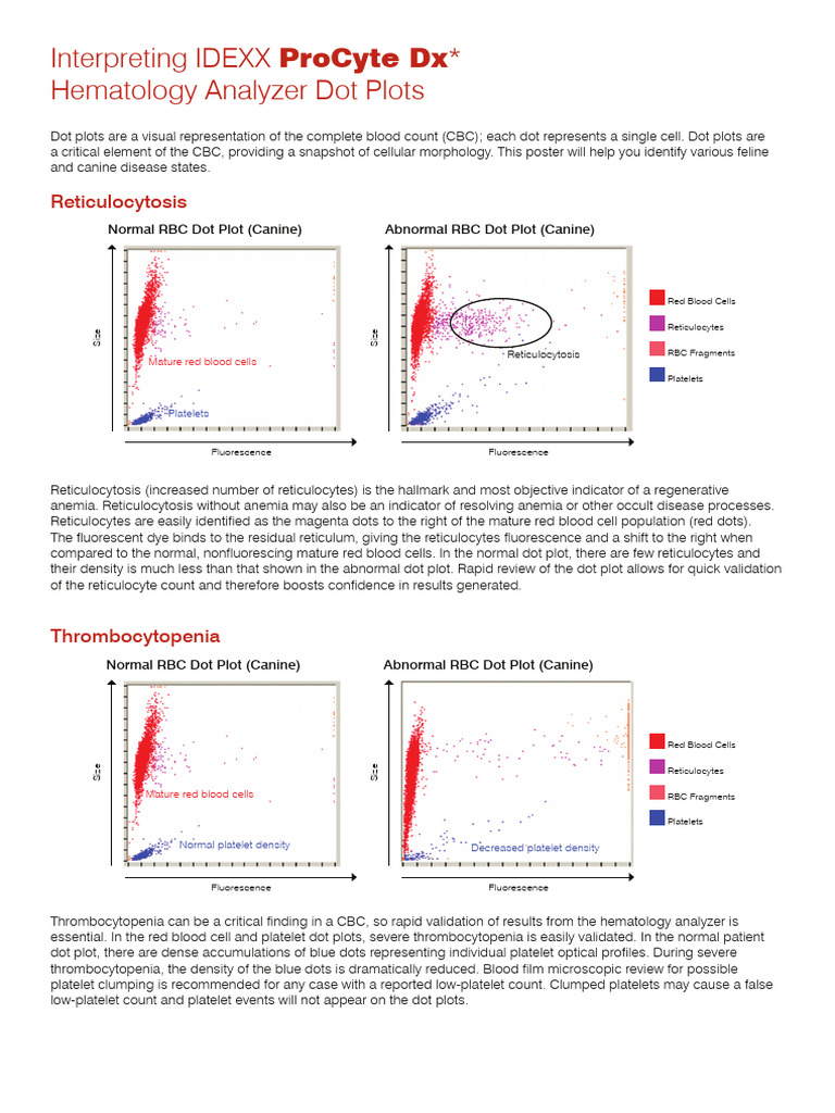 Interpreting Idexx Procyte DX Hematology Analyzer Dot Plots | PDF | White Blood Cell | Lymphocyte
