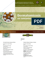 Portil: Crema para Infecciones Cutáneas | PDF | Antimicrobiano ...
