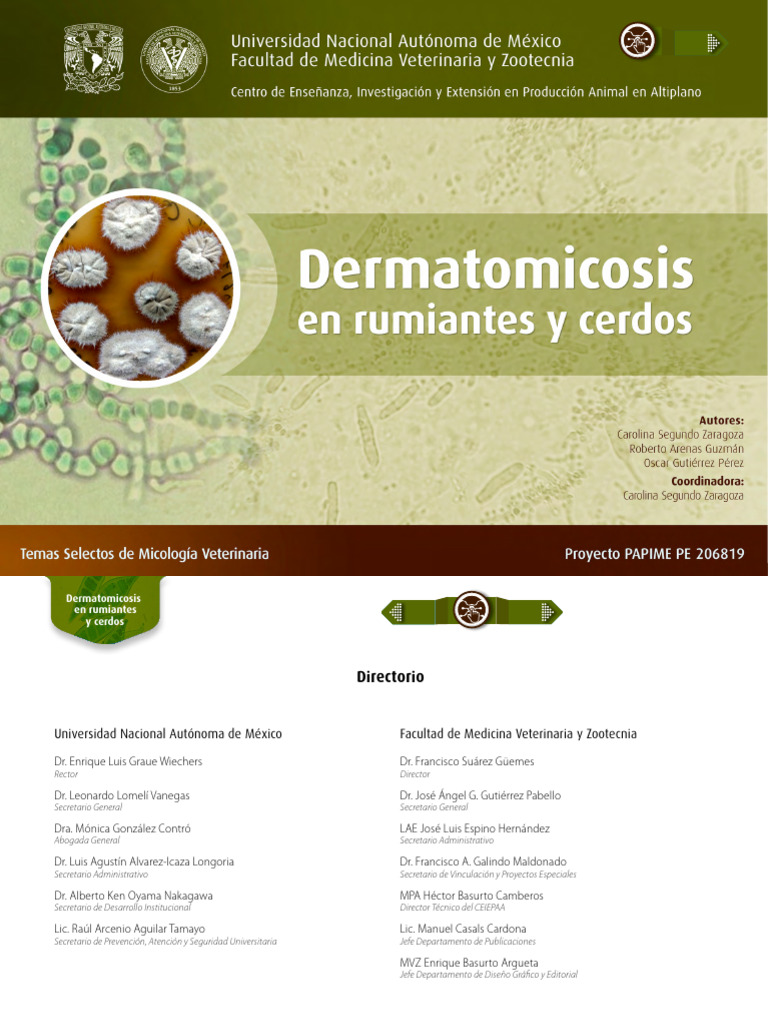 Dermatomicosis R C | PDF | Especialidades Medicas | Organismos