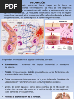 Cuadro Comparativo Inflamación, Edema, Hematoma | PDF | Inflamación | Edema