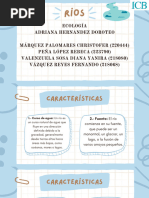Tundra Alpina en México: Características y Ubicación | PDF | Ecosistema ...