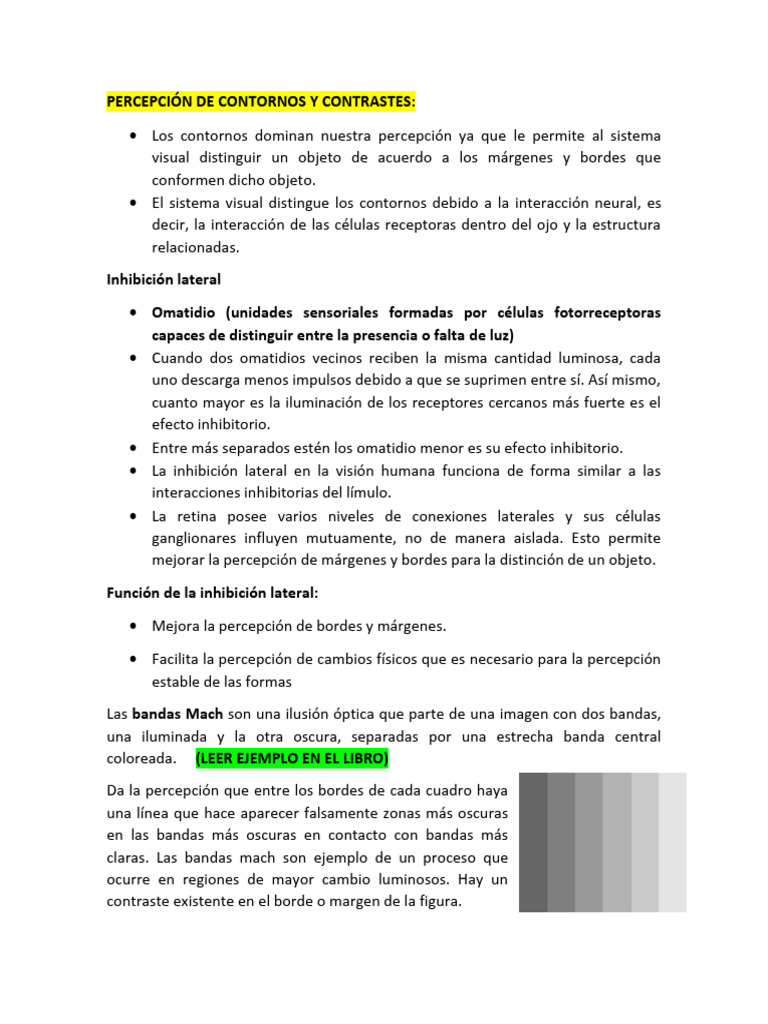 GUIA PATRON VISUAL Y PERCEPCION DE FORMAS | PDF | Percepción visual ...