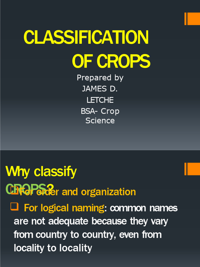 Crop Classification Overview | PDF | Fruit | Botany