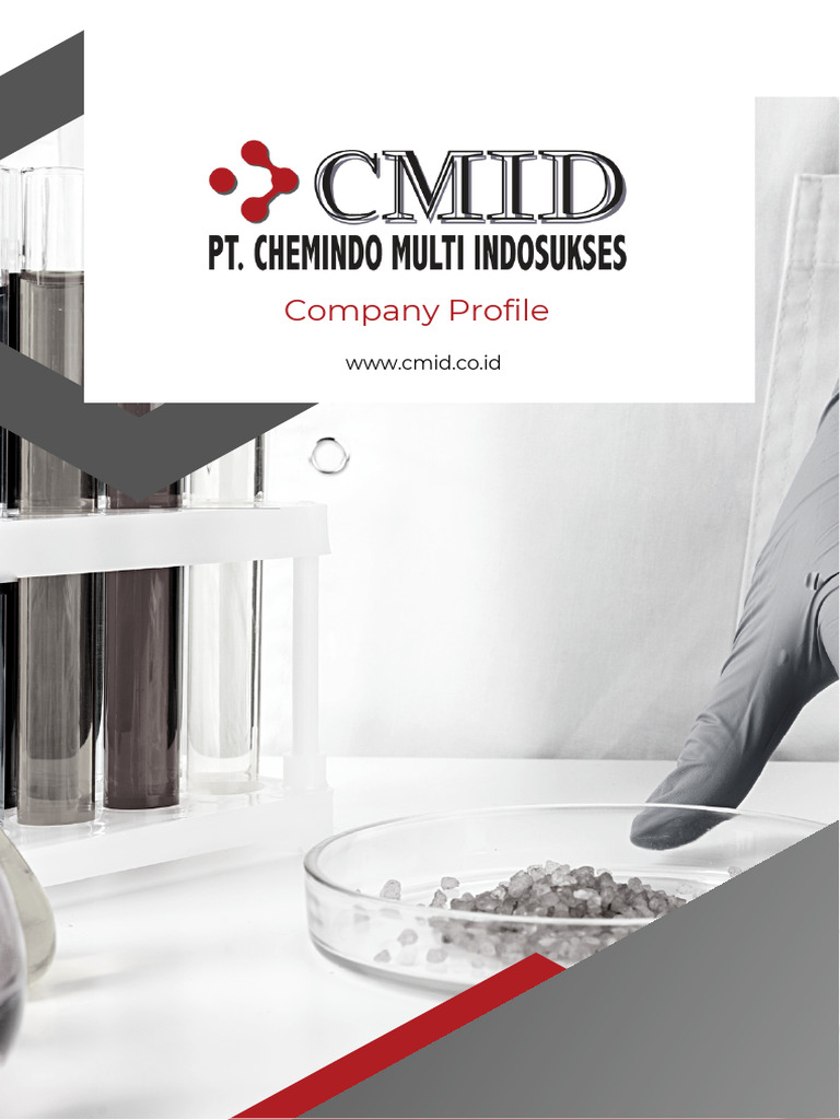 Cmid Company Profile | PDF
