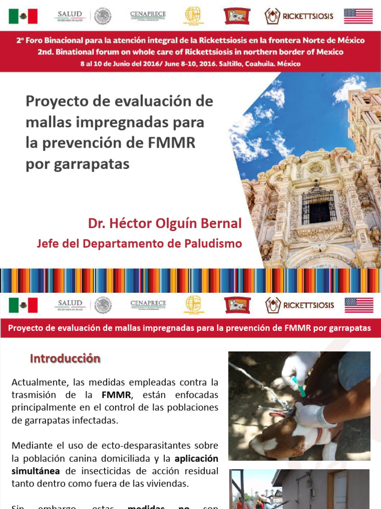 Proyecto Evaluacion Mallas Impregnadas FMMR | PDF | Malaria | Ensayo ...