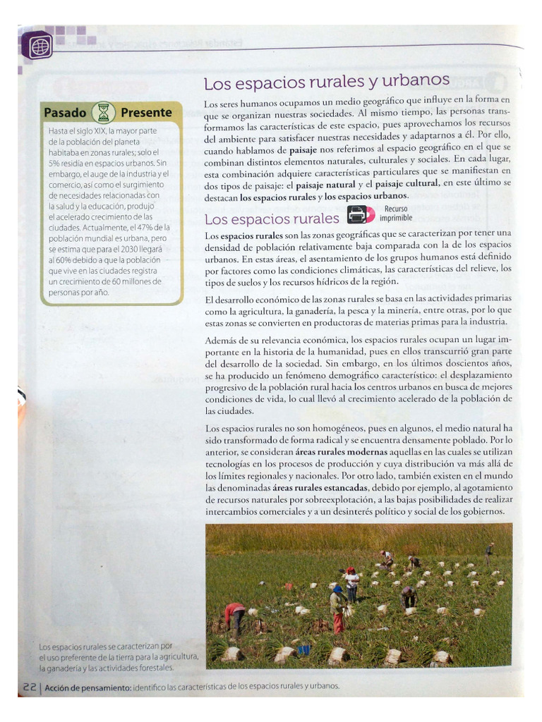 Guia 4 - Espacios Rurales y Urbanos | PDF