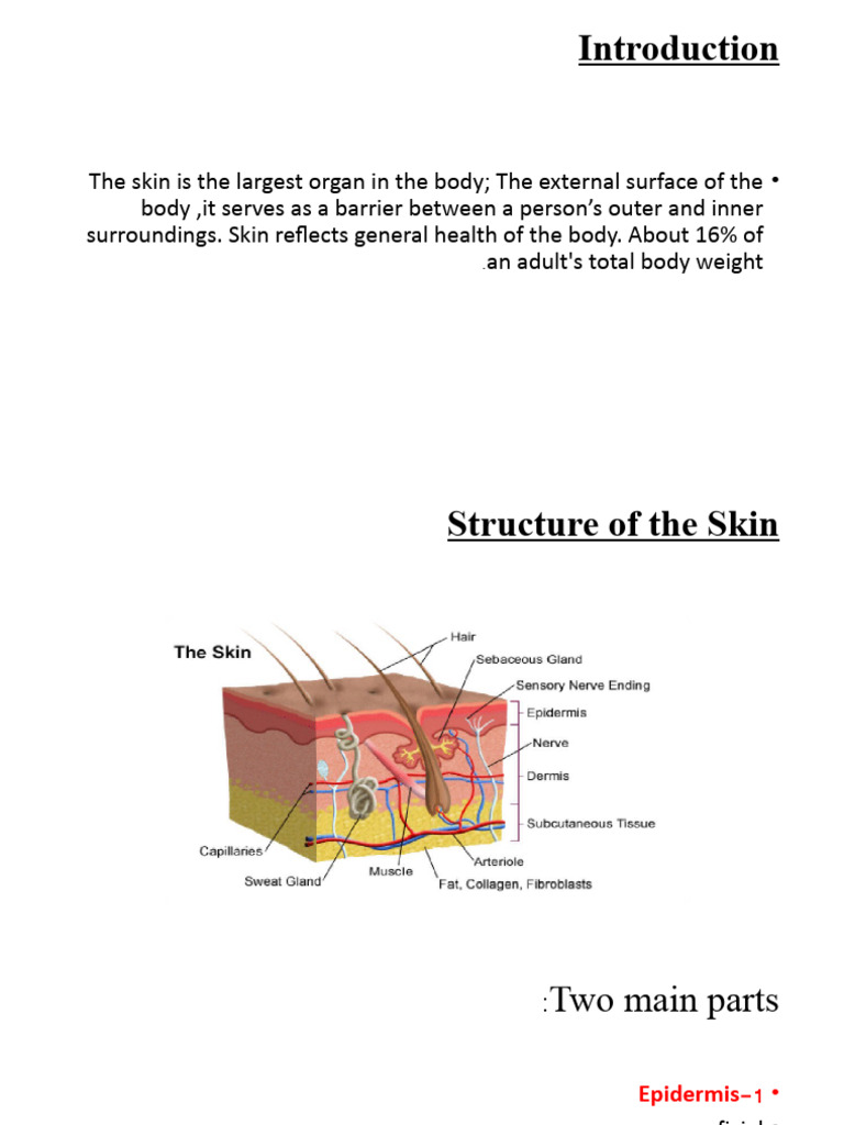 skin assessment | PDF