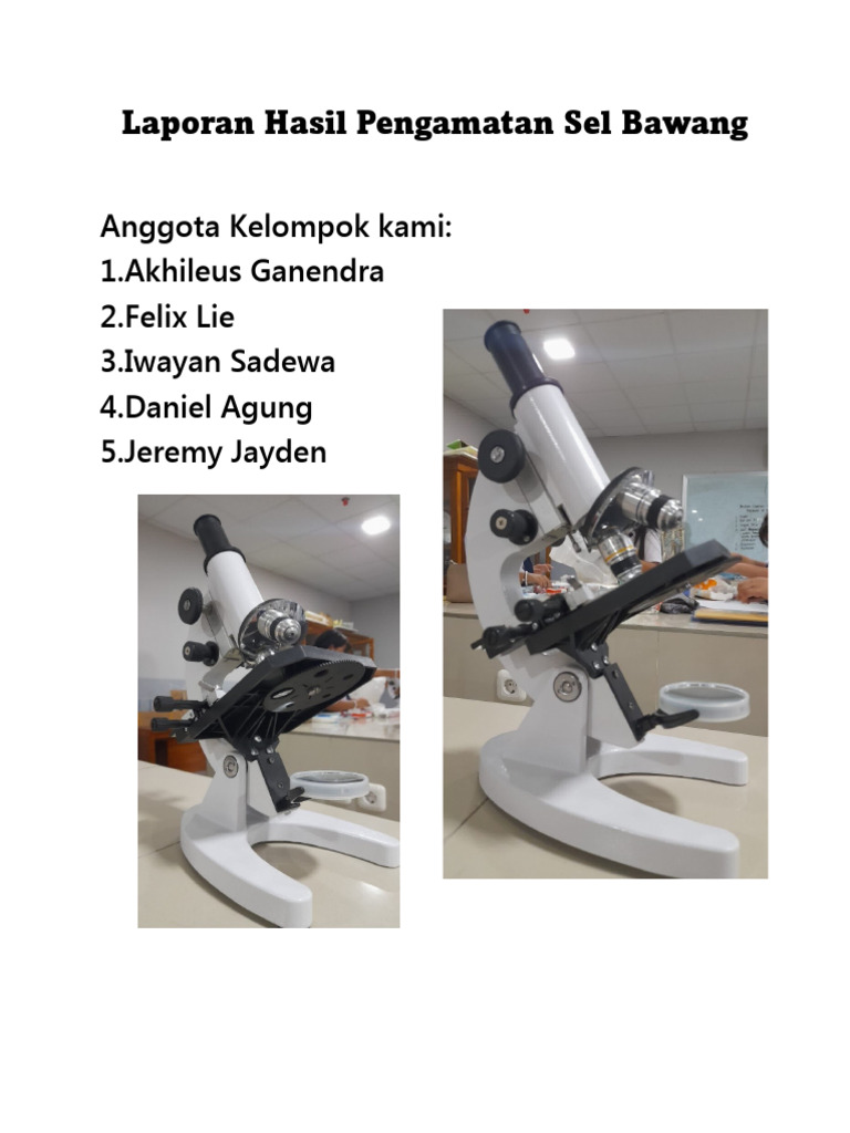 Laporan Hasil Pengamatan Sel Tumbuhan | PDF