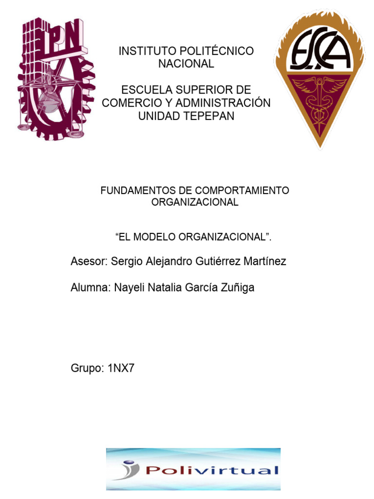 Modelo Organizacional y Comportamiento | PDF | Comportamiento | Business