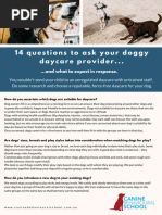 Trick Dog Title NOVICE Checksheets | PDF | American Kennel Club | Dogs