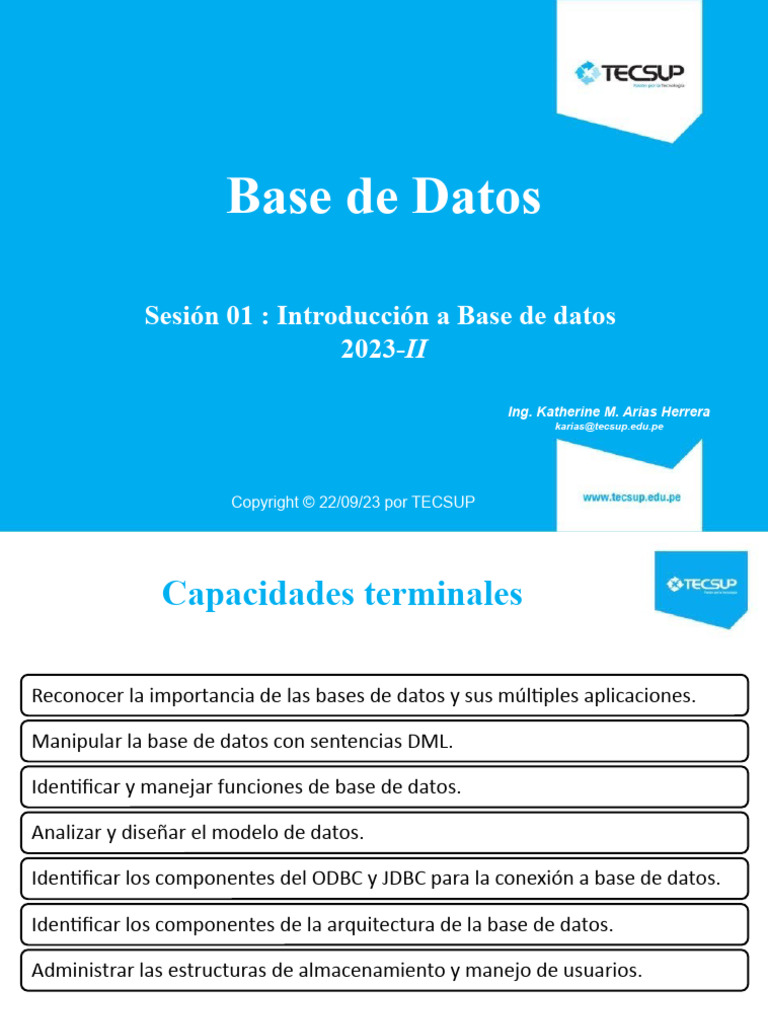 Sesión 01 - Introducción A BD | PDF | Bases de datos | SQL