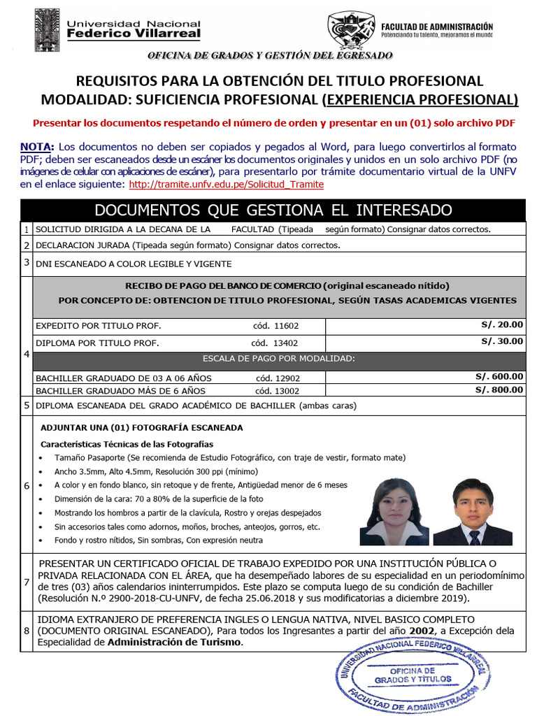 Estructura Informe Sufiencia o Experiencia Profesional | PDF