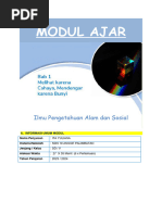 Contoh Modul Ajar Discovery Learning | PDF | Sains & Matematika