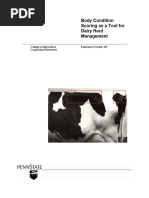 Royal Canin Body Condition Score Charts | PDF | Abdomen | Pelvis