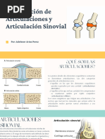 Clasificación de Articulaciones | PDF