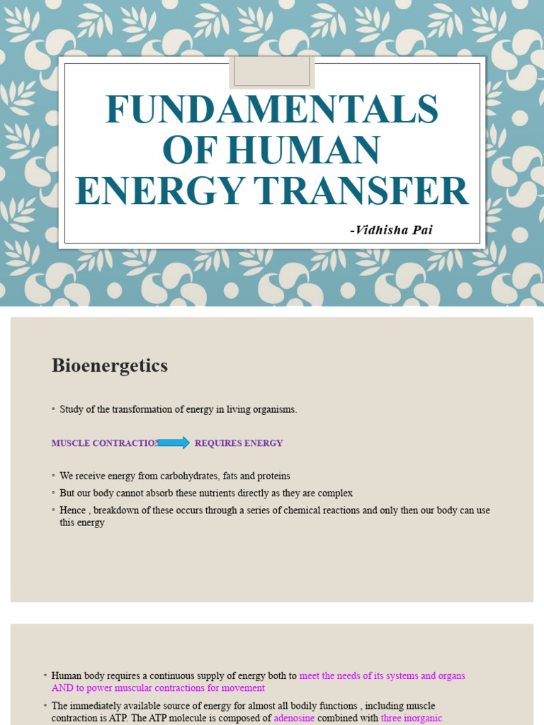 Fundamentals of Human Energy Transfer | PDF | Diet & Nutrition | Citric ...