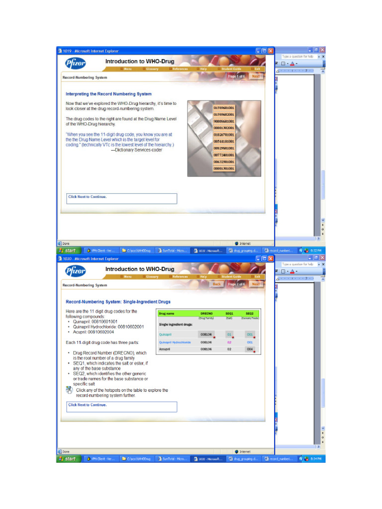 Record Numbering System | PDF