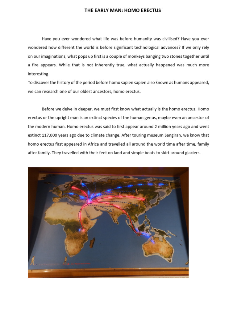 Understanding Homo Erectus Evolution | PDF | Homo | Human
