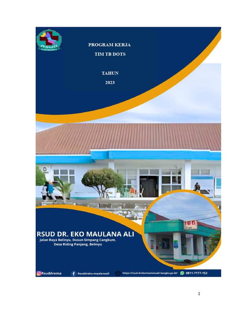 Program Kerja Tim TB Dots 1 | PDF